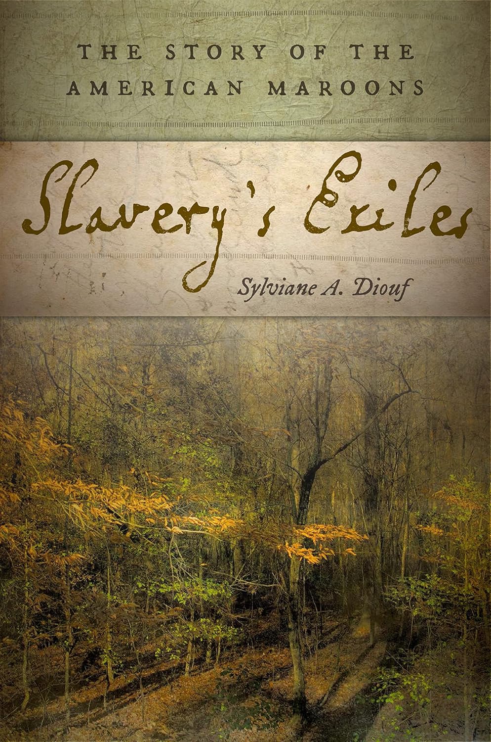 Slavery's Exiles: The Story of the American Maroons by Sylviane A. Dio ...